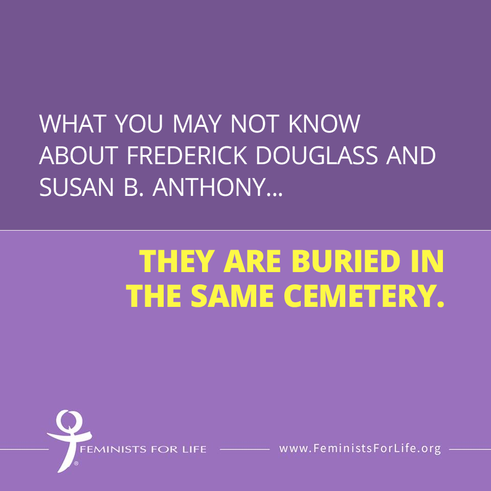 Can you really be a feminist and pro-life? – Feminists for Life
