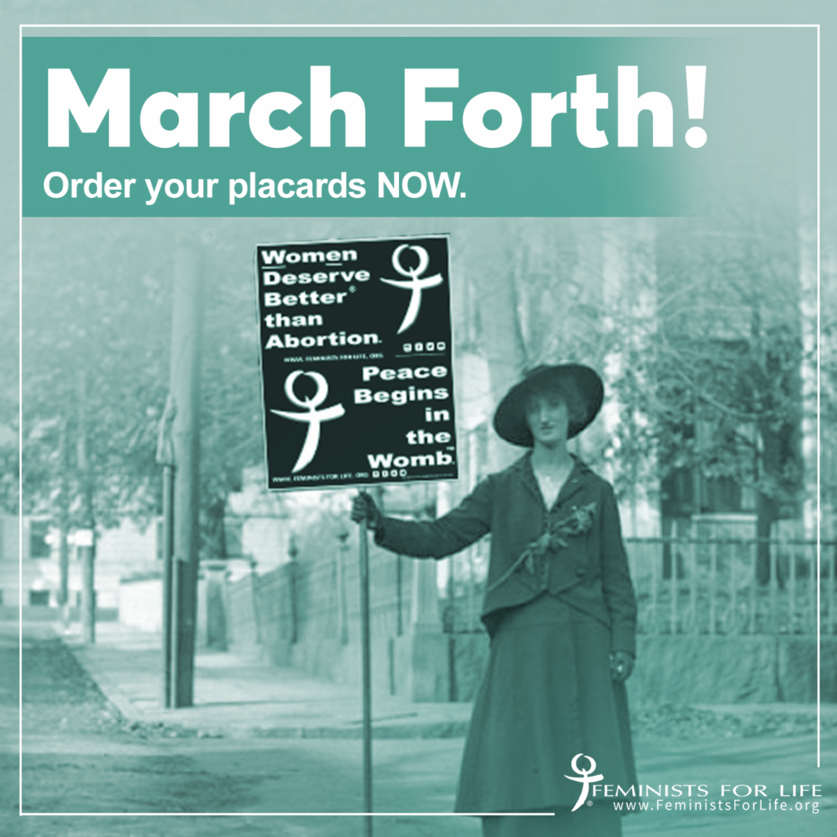Get the message out with placards & stickers! – Feminists for Life