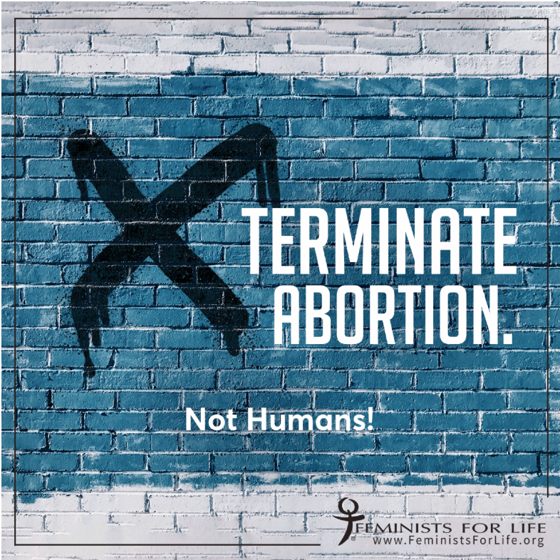 Terminate Abortion, Not Human Beings – Feminists for Life
